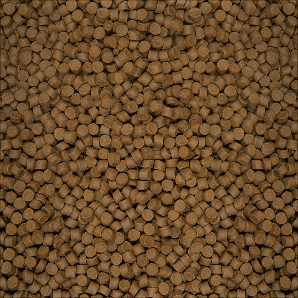 Harga Pakan Ikan Nila Terbaik dan Cara Memilih Pakan yang Efektif