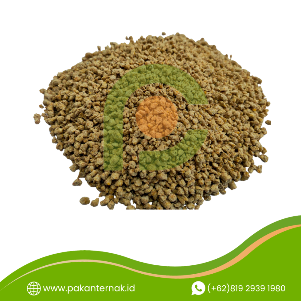 Harga Pakan Ayam 511 Per Karung Terbaik & Terbaru