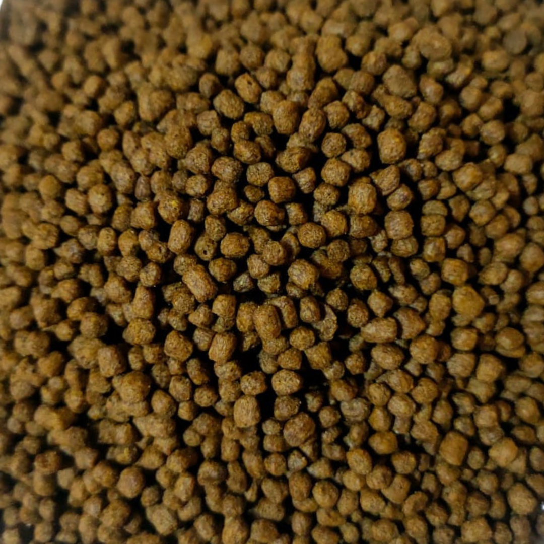 Jual Pakan Ternak dan Supplier Pakan Ikan Jogja