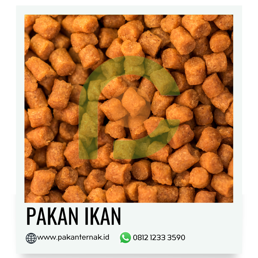 Jual Pakan Ternak dan Supplier Pakan Ikan Jogja